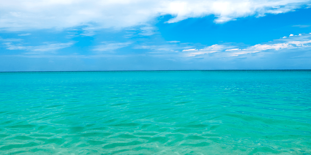 Stop Washing Your Swimsuits! The Right Way to Clean Your Bathing Suit ...